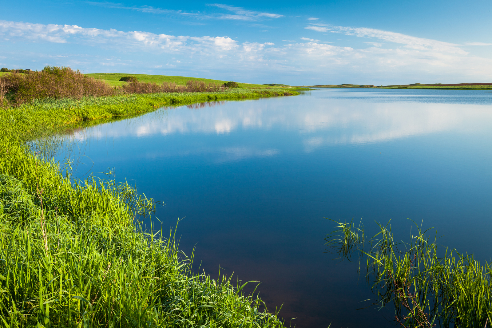 Experience PEI: Employment Opportunity - TIAPEI